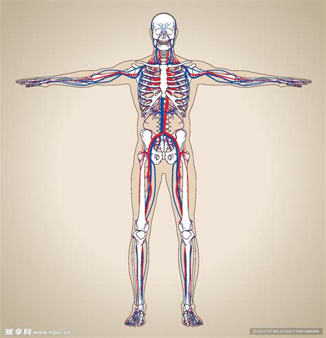 设计图 医疗保健 生活百科 设计图库 昵图网