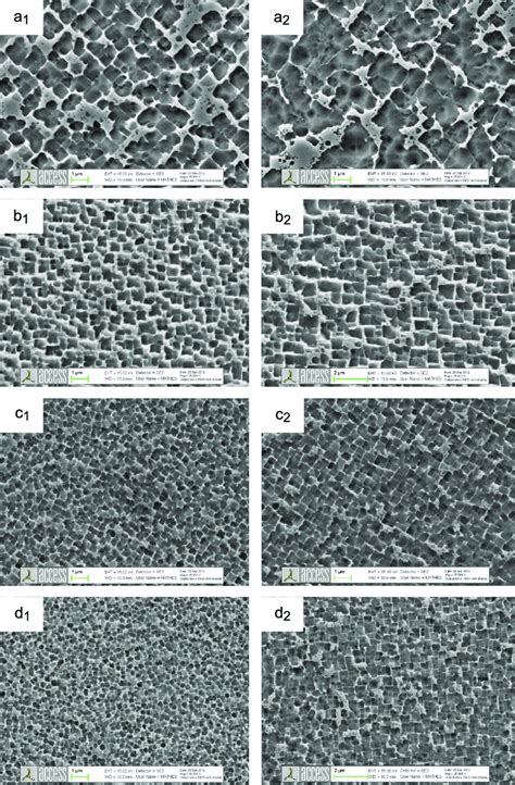 The Typical Morphologies Of γ′ Phase In The Dendritic Cores Left Download Scientific Diagram