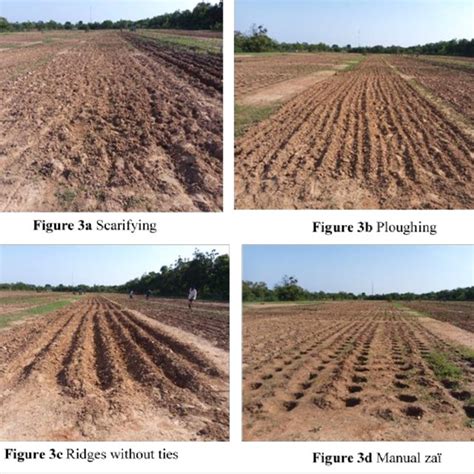 Plots After Tillage Methods Realized In 2018 And 2019 At Saria