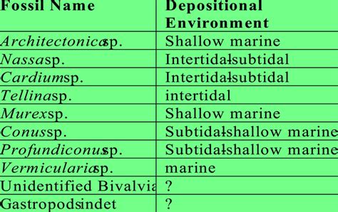Identification Of Mollusk Fossil Findings In Paleotsunami Suspect Layer 2 Download Scientific