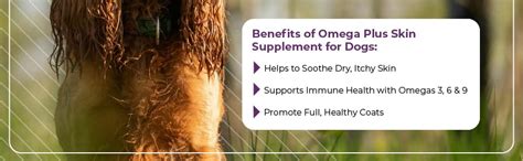 Vetriscience Omega Plus Advanced Skin Supplement For Dogs