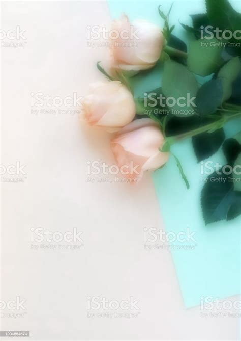 핑크 장미 꽃다발 파스텔 핑크 민트 색상 배경에 상단보기를 흐리게 공간을 복사합니다 휴일 배경 0명에 대한 스톡 사진 및 기타 이미지 Istock