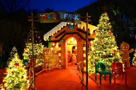 벌써 크리스마스 시작 11월부터 시작하는 겨울 축제 3곳 여행을말하다