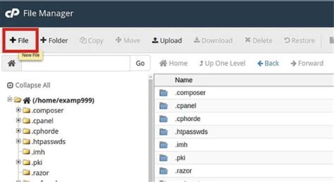 Wordpress Default Htaccess What Is It And How To Create Pda Gold