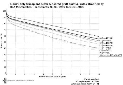 4 The Influence Of Hla Matching On Graft Survival Within Download