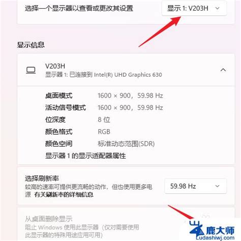 Win11怎么删除显示器2win11如何删除连接的多台显示器中的一台 鹿大师