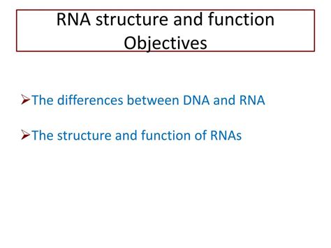 PPT DNA And RNA PowerPoint Presentation Free Download ID 2080930