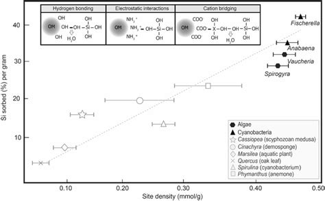 Potentiometric Titration Results Mean Reactive Site Density Mmol G Download Scientific