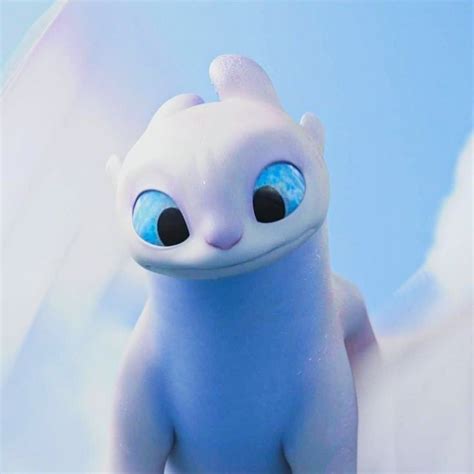 드래곤 길들이기 이름 지식in