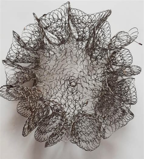 Figure 1 From Looping Hyperbolic Surfaces Semantic Scholar