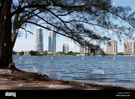 Buildings Towers Structures High Tall Tree Branches Horizontal Style Of Stock Photo Alamy