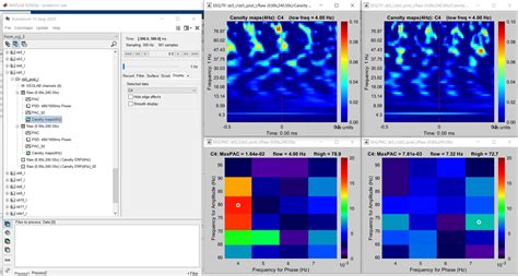 Pac Plot Vs Canolty Map Discussions Brainstorm
