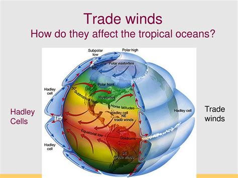Ppt El Niño Southern Oscillation Enso Powerpoint Presentation