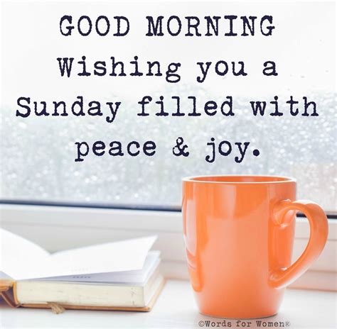 Coffee Memes Happy Sunday Everyone Facebook