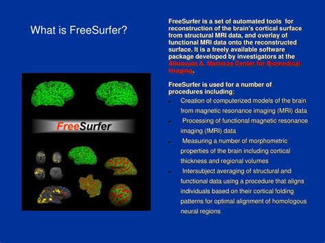 Ppt Freesurfer Based Brain Image Analysis Powerpoint Presentation Free Download Id5585759