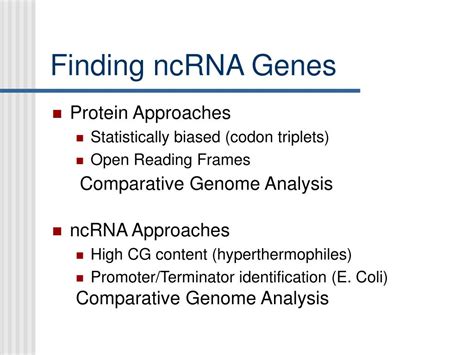 Ppt Non Coding Rna Powerpoint Presentation Free Download Id247486