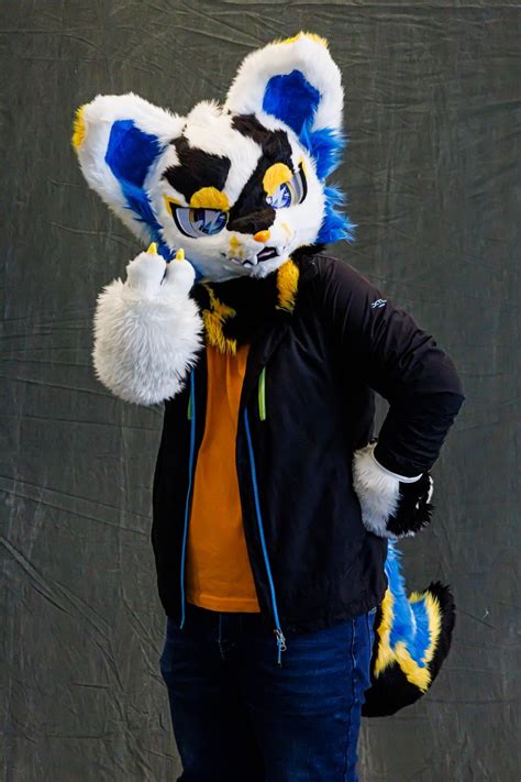 Spark Fursuitbluefoxnew Sparkkurrysocial K Furry 케이퍼리