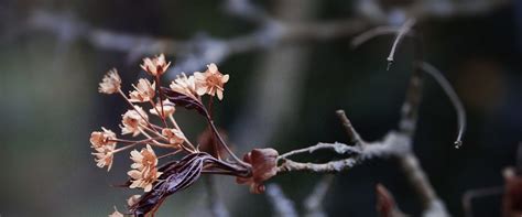 Using Branches And Merging In Git