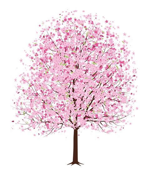 Free Spring Tree Png Download Free Spring Tree Png Png Images Free ClipArts On Clipart Library