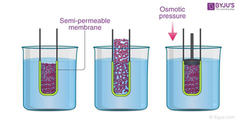Osmotic Pressure Osmotic Pressure And Concentration G L Of Draw