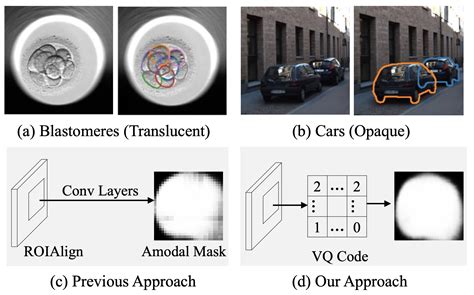 vcg harvard learning vector quantized shape code for amodal blastomere instance segmentation