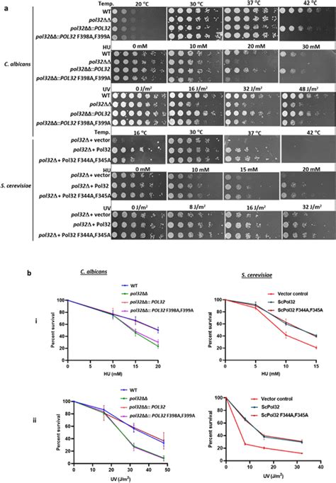 Pip Motif Of Capol32 Is Essential For Capolδs Function A Serially