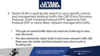 Native Virtual Local Area Network Pptx