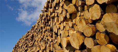 All Courses Timber Spec