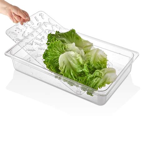 Gastro Plast
