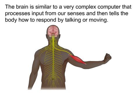 Amyotrophic Lateral Sclerosis