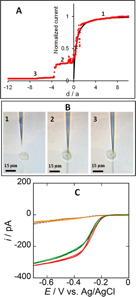 cell penetration with a platinized nanotip a secm approach curve