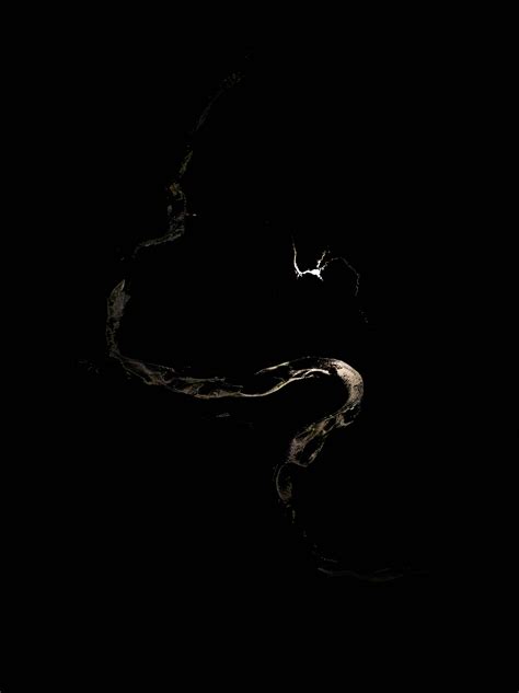 تصویر خیره‌کننده مار نقره‌ای و پنجه‌ی طلایی از منظر فضا ایسنا