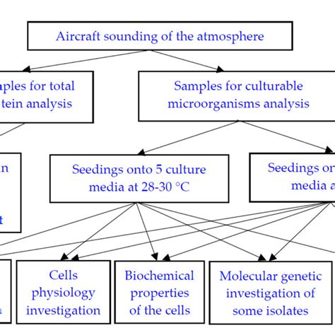 The Flow Chart Of The Investigation Download Scientific Diagram