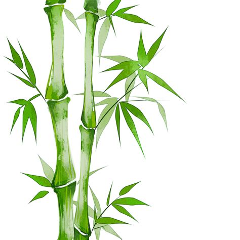 水墨竹竿中国风竹子竹叶