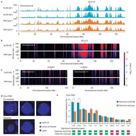Variegated Gene Expression Caused By Cell Specific Long Range Dna Interactions Pmc