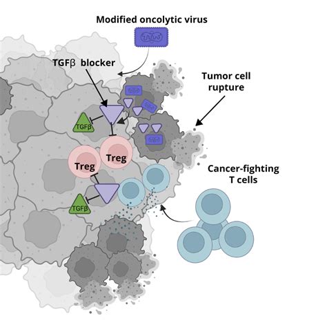 Oncolytic Virus Disrupts Immune Blocking Protein Nci