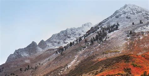 Cms Layout Examples State And Federal Communications