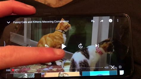 How Youtube Hide Controls When Paused Youtube How Youtube Hide Controls When Paused Youtube