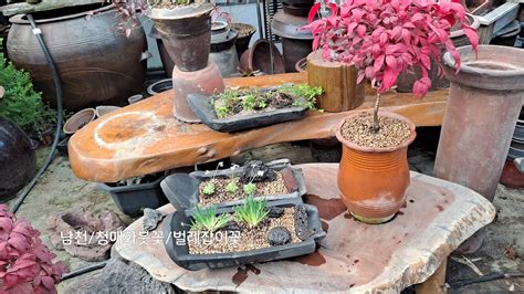 민속품야생화정원인테리어석물항아리수석너와기와 Youtube