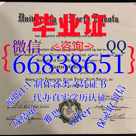 国外2000年 2022年版本≤und毕业证≥q微66838651留信留服认证 成绩单雅思 592990のブログ