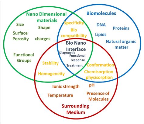Illustration Of The Bio Nano Interface Technology Download Scientific Diagram