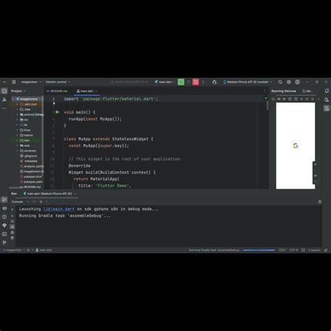 Video Developed A Text Form Application For Android And Ios