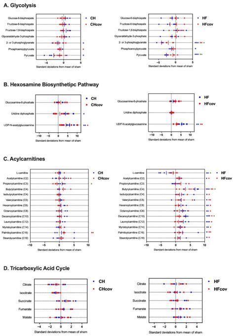 Derangements And Reversibility Of Energy Metabolism In Failing Hearts