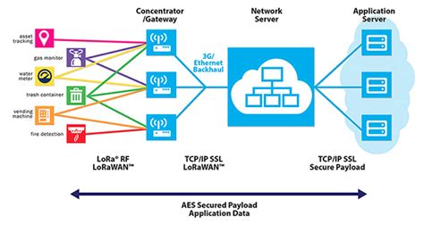 Murata Debuts “worlds Smallest Lora Module” News