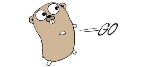 Golang Linux Hint