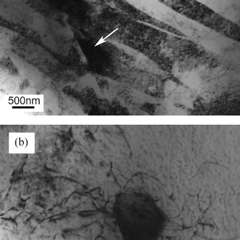 As Cast Microstructure Showing Dendritic Structure Of Austenite And Download Scientific Diagram