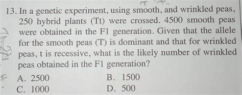 Solved 13 In A Genetic Experiment Using Smooth And Wrinkled Peas 250 Hybrid Plants Tt