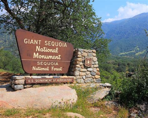 12 Best Places To Visit Sequoia Trees In California