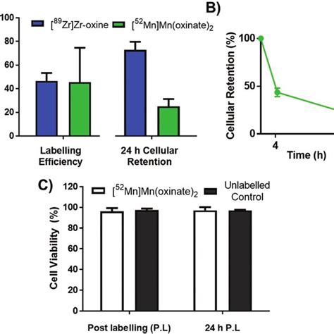 A Graph Comparing The Labelling Efficiency Left And Cellular Download Scientific Diagram