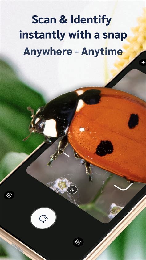 Picture Insect Bug Identifier For Android Download